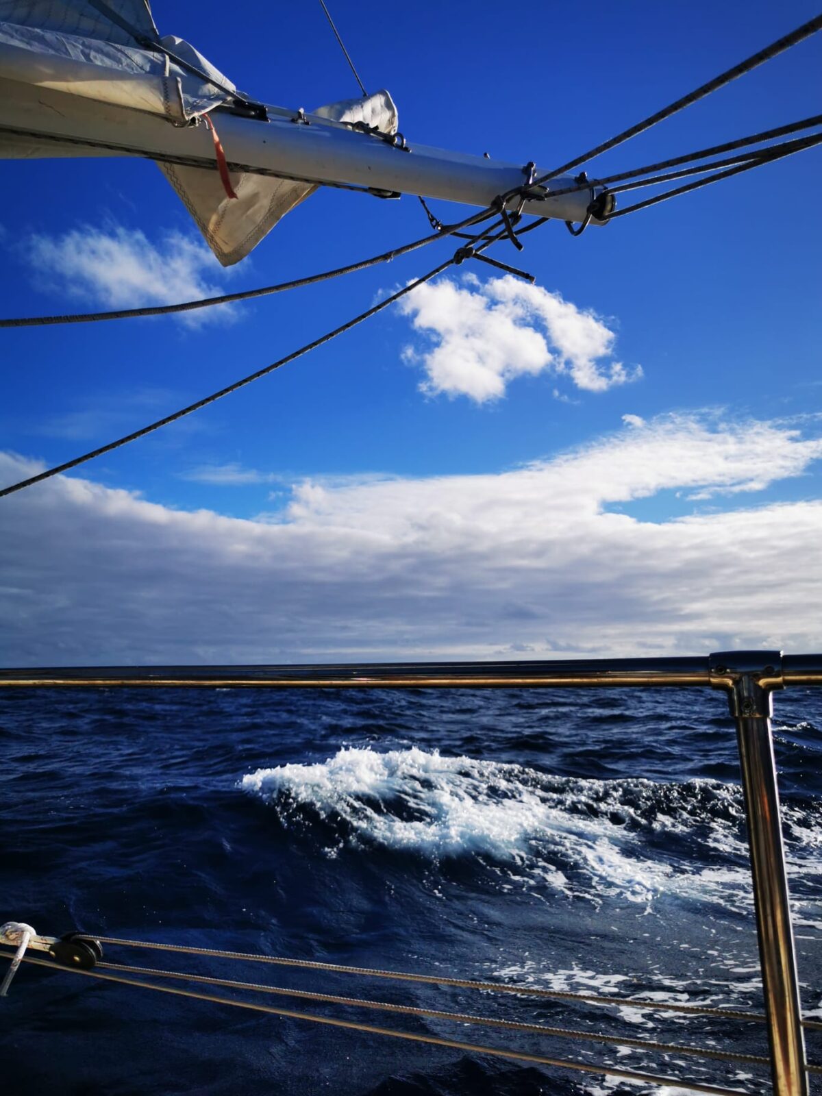Our first 500 miles to Magdalena Bay • Milagros • Sailing Blog 2020